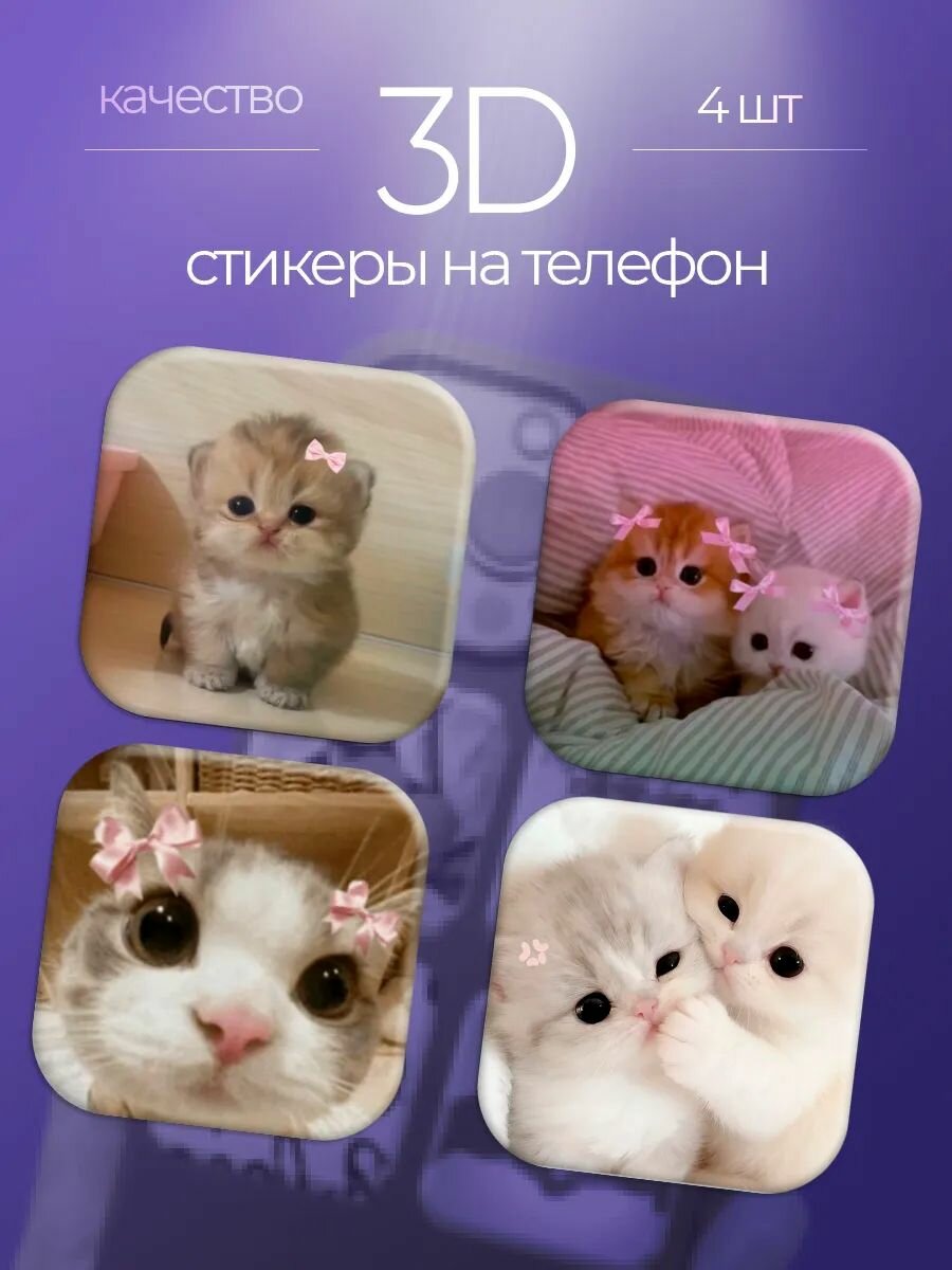 3D стикеры на телефон Котенок