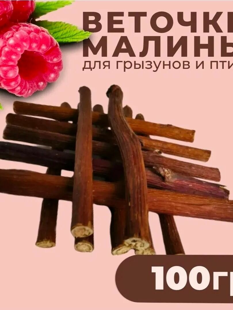 Веточки малины для грызунов и птиц