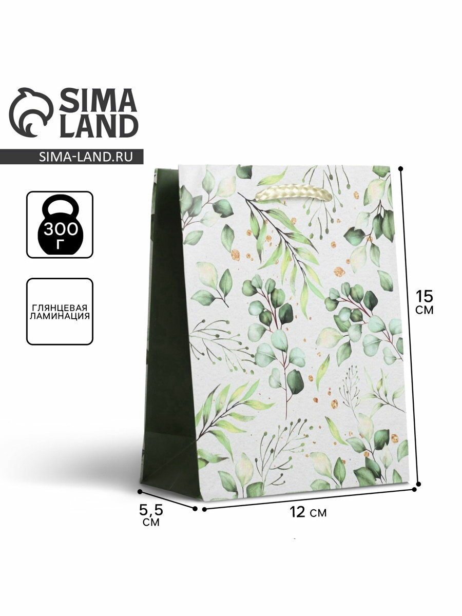 Пакет подарочный ламинированный, упаковка, Present for you, S 12x15x5.5 см, 3 шт.