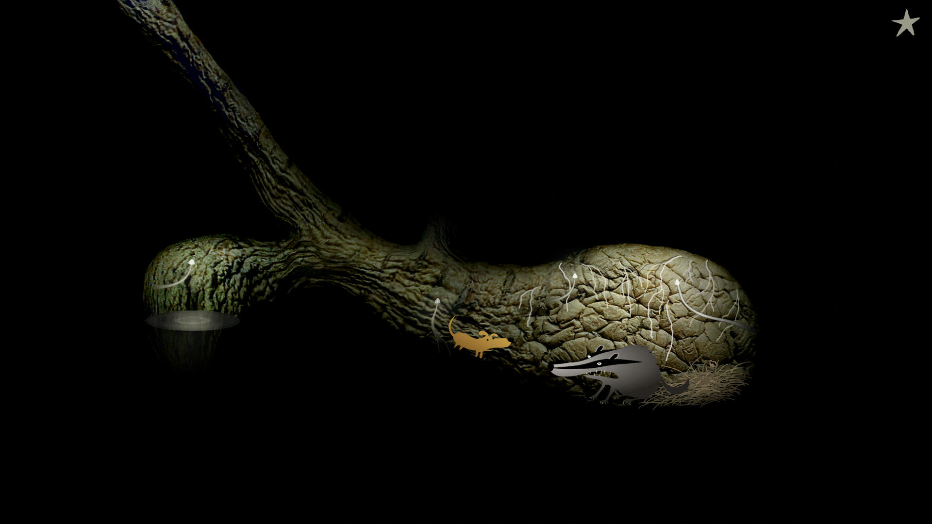 Samorost 2, Все страны — фото 1