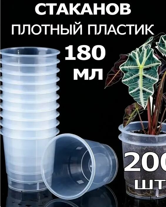Стаканы одноразовые пластиковые, прозрачные 180мл для напитков, соков, рассады, черенков, суккулентов, фиалок