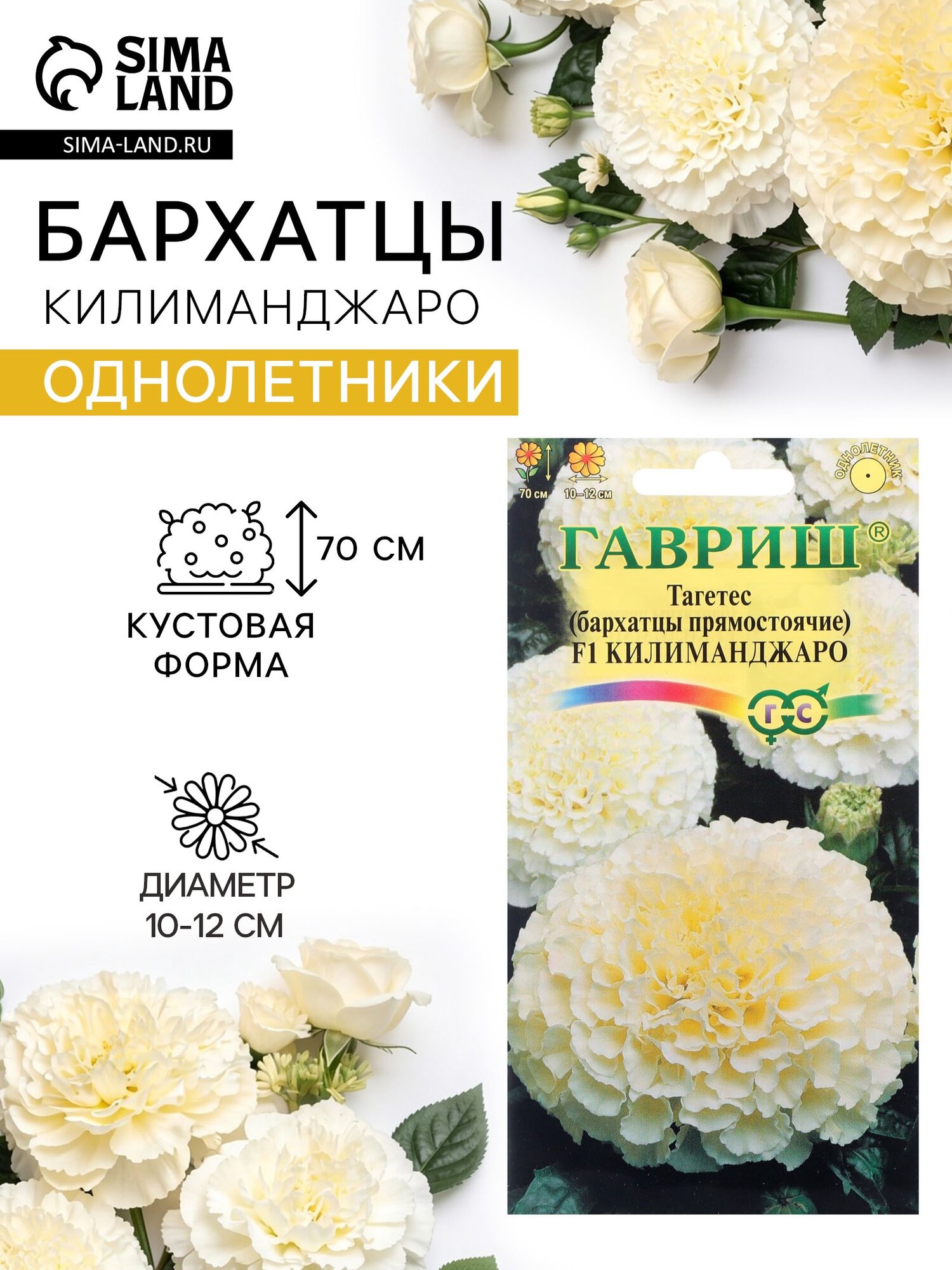 Тагетес, семена цветов, бархатцы прямые «Килиманджаро», F1, 0.05 г, «Гавриш»
