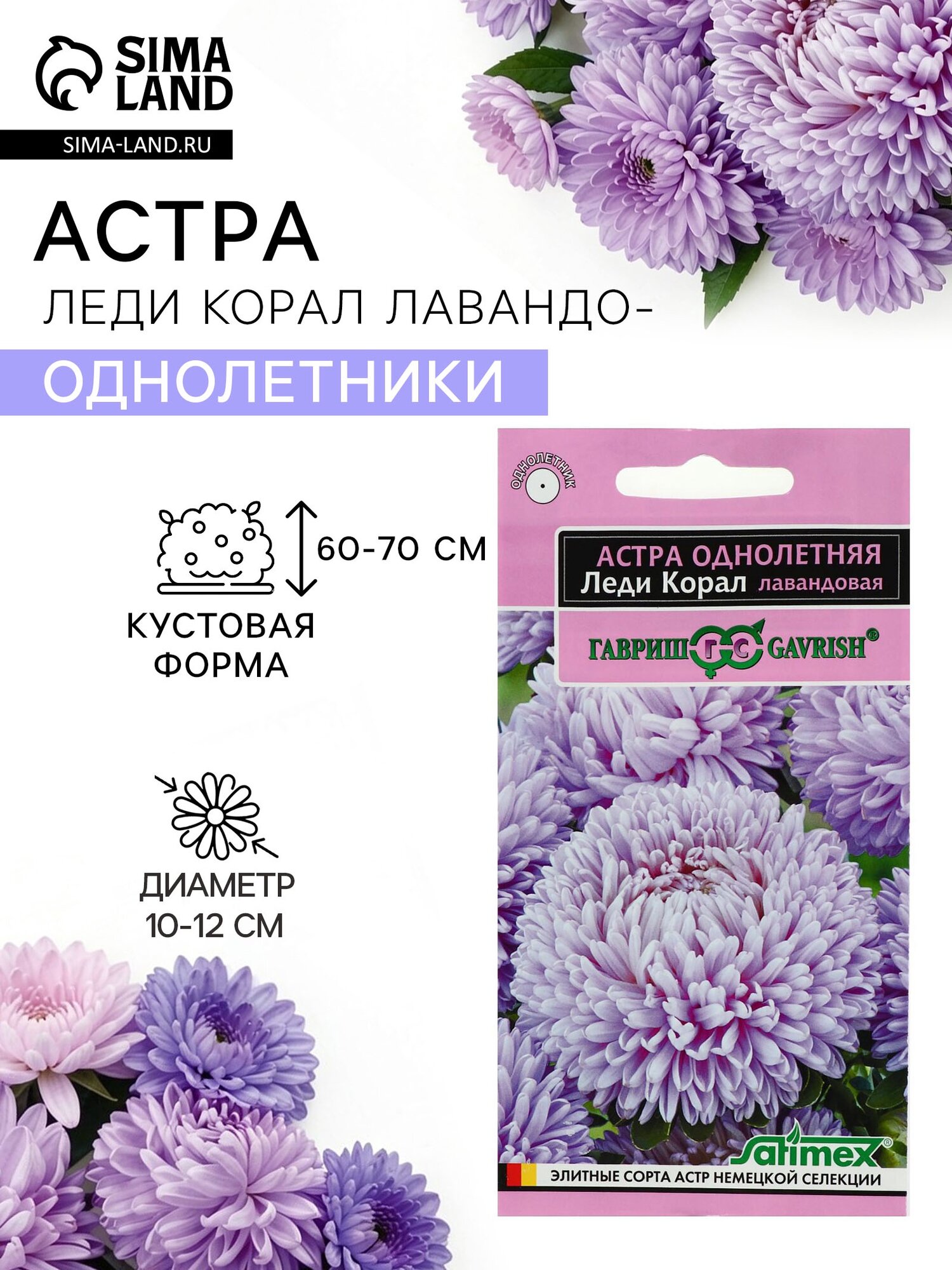Семена цветов Астра «Леди Корал лавандовая», однолетняя, 0.05 г, «Гавриш»