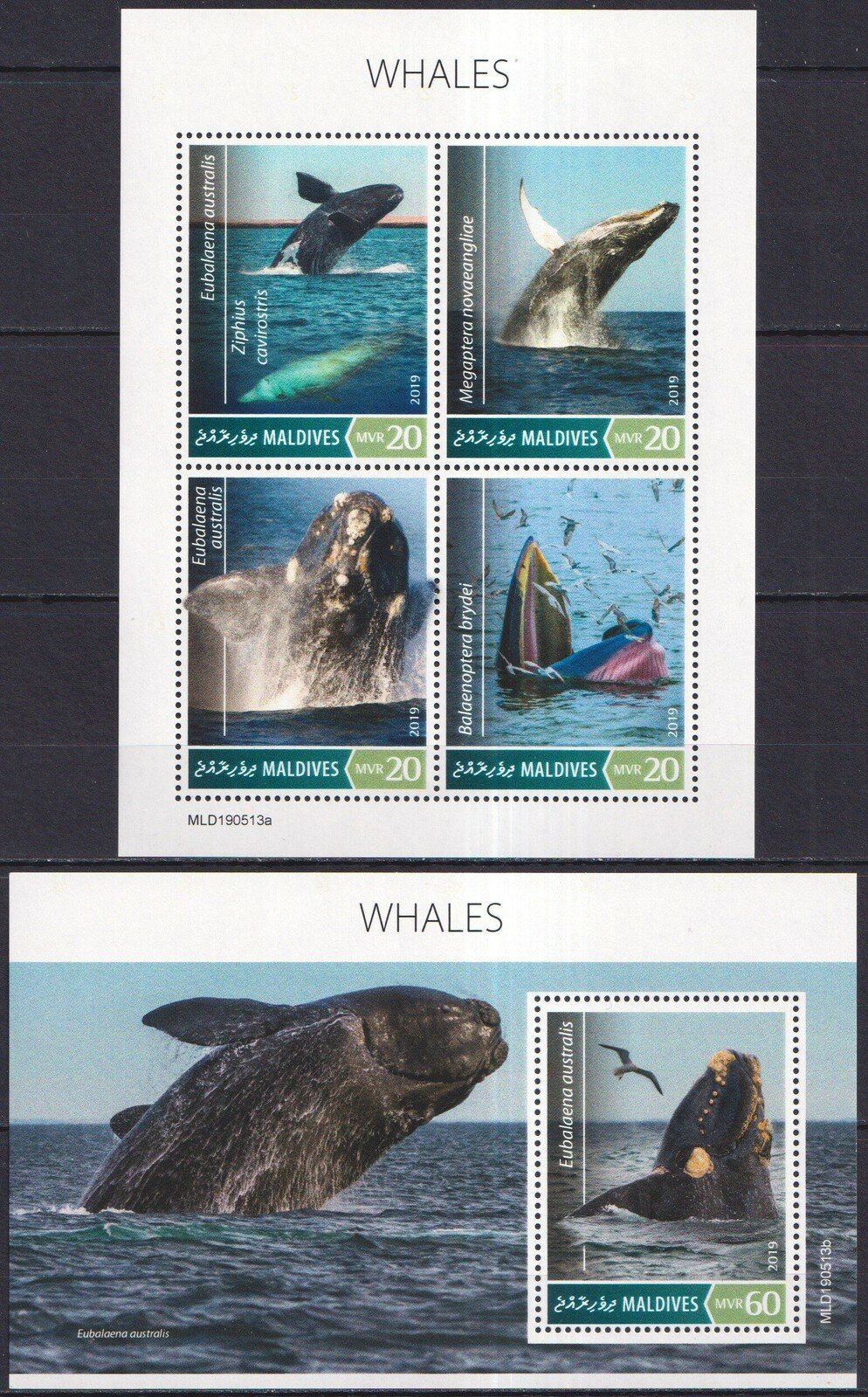 Марки 2019 год Мальдивы Киты Морская жизнь Фауна #8486-89+Bl1362 Mnh