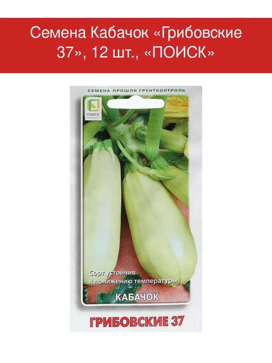 Семена Кабачок «Грибовские 37», 12 шт, «Поиск»