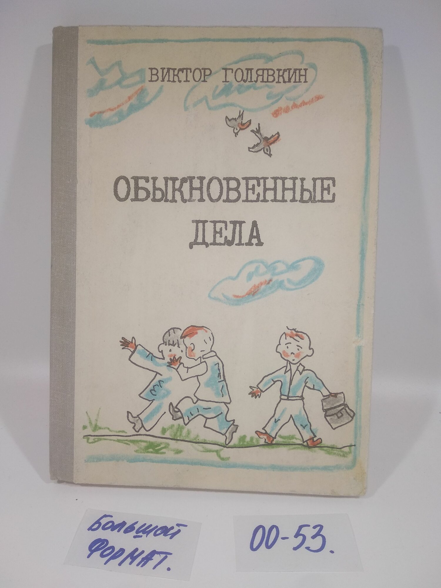 Голявкин В. В. Обыкновенные дела: Повесть