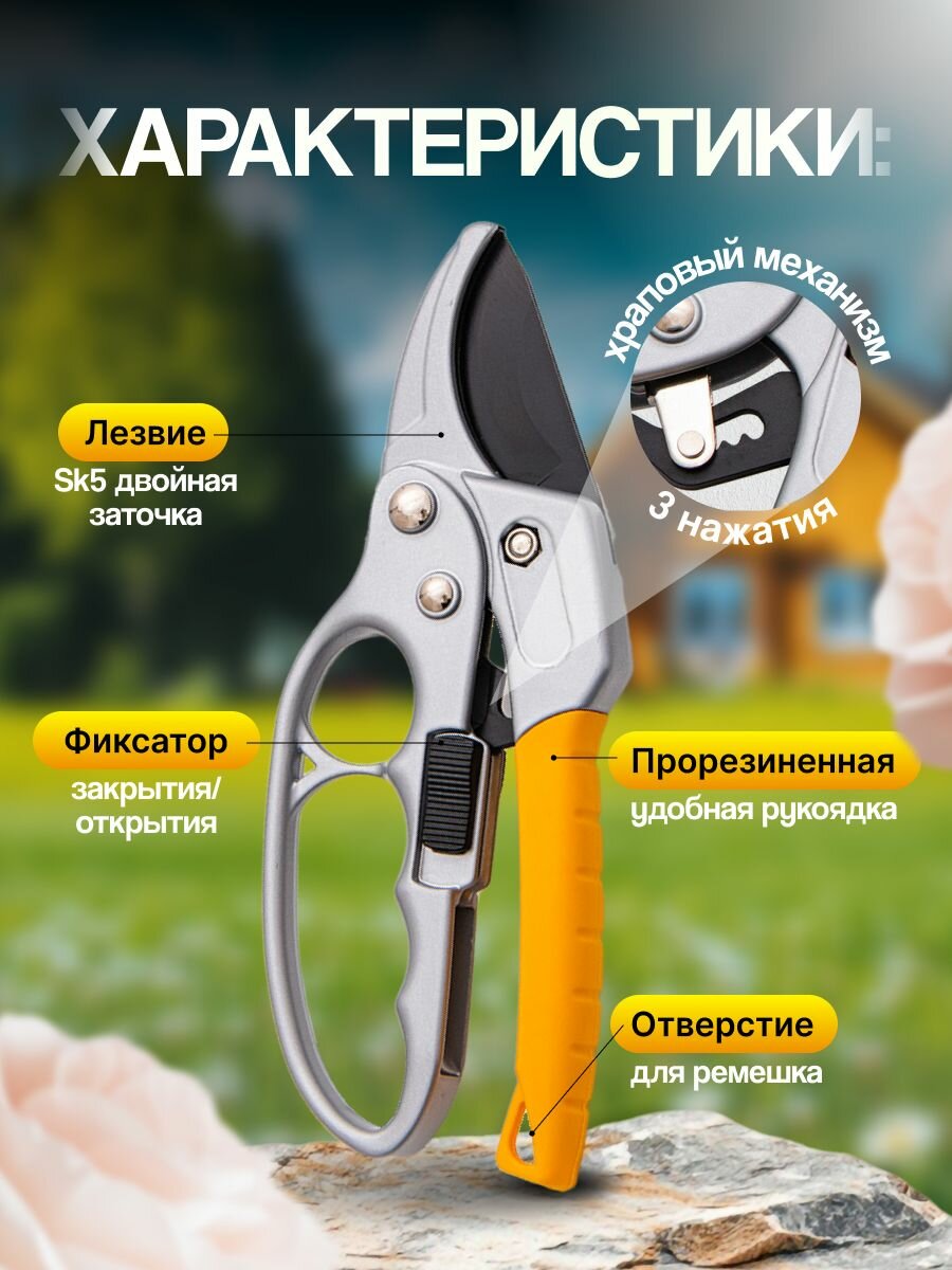 Секатор, Секаторы, Высокоуглеродистая сталь, Ручные секаторы, высоторезы, сучкорезы — фото 1
