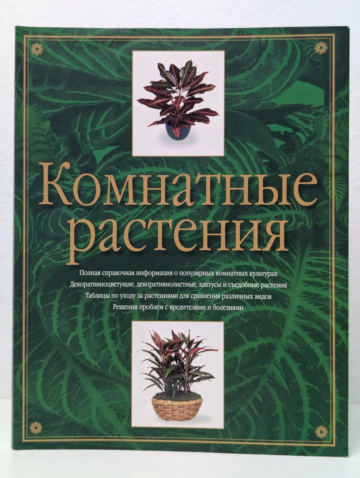 Комнатные растения Леендртц Лиа 2007