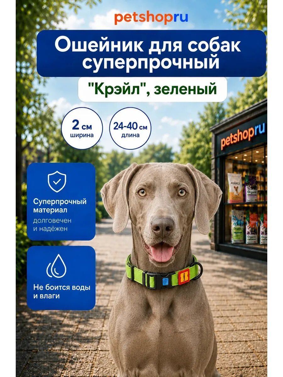 Ошейник "Крэйл", зеленый