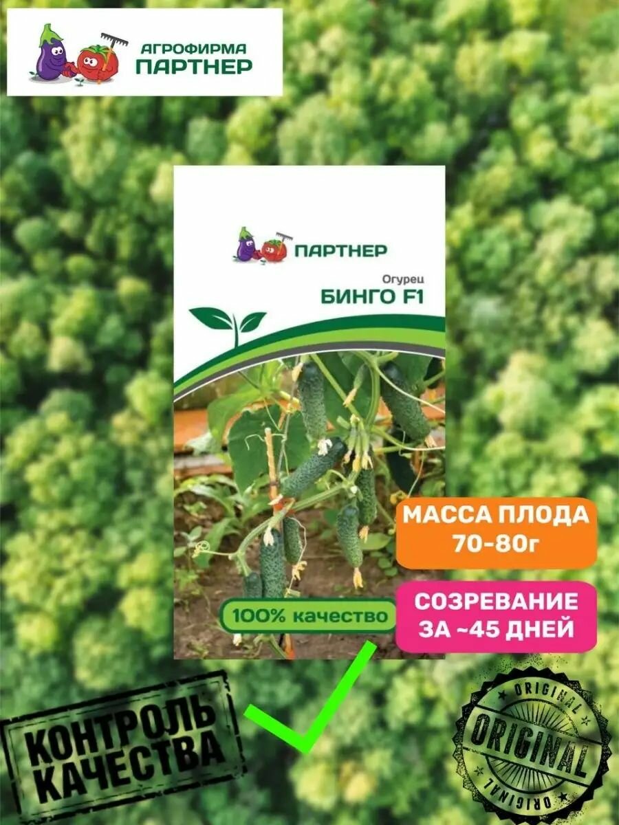 Огурец бинго F1, (5шт) 1 упаковка
