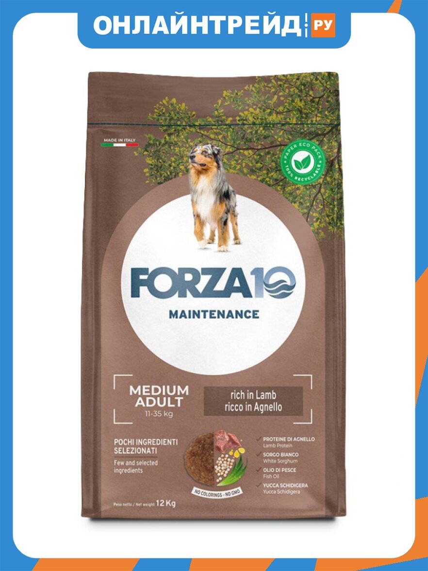 Корм сухой FORZA10 Maintenance Medium Adult для взрослых собак средних пород с ягненком и рисом, 12 кг