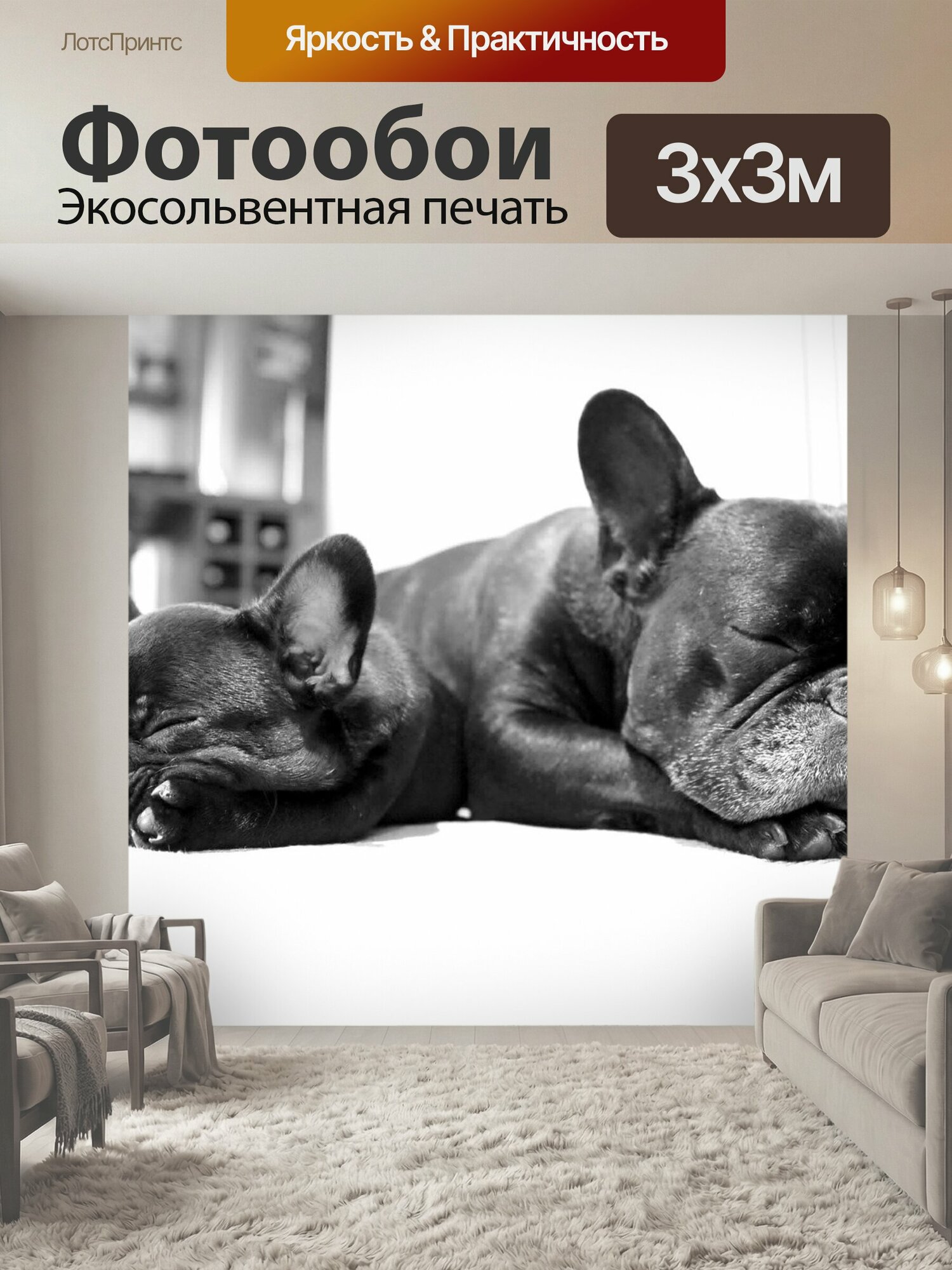 Фотообои "Собака, собаки, бульдог" 300x300 см. экосольвентная печать