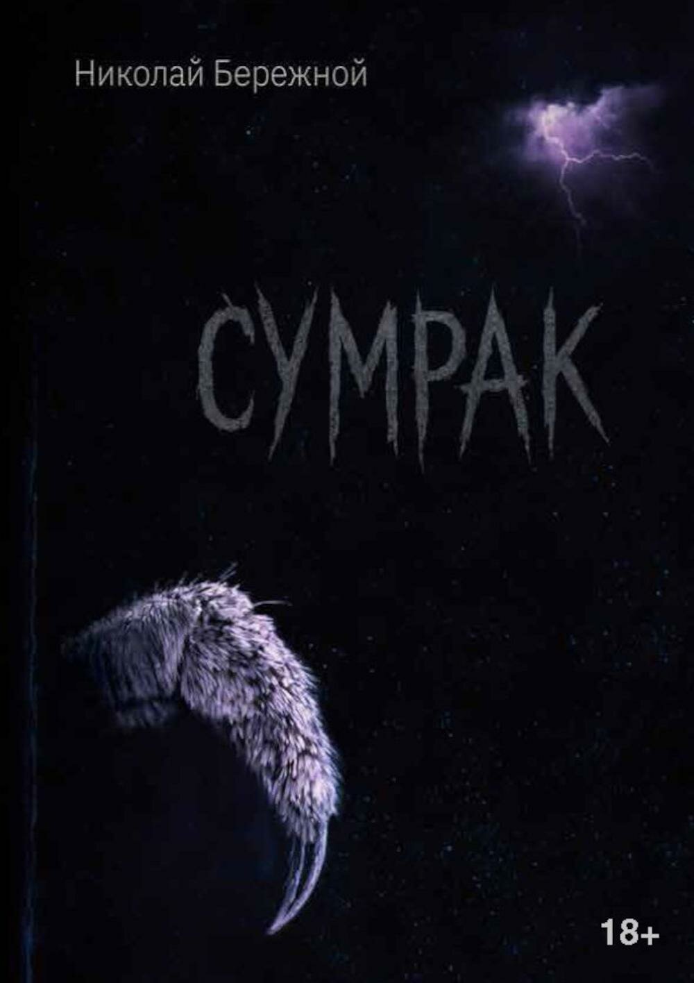 Сумрак Бережной Н. В, Издательство Book-a-Boom 2026 (106 страниц)