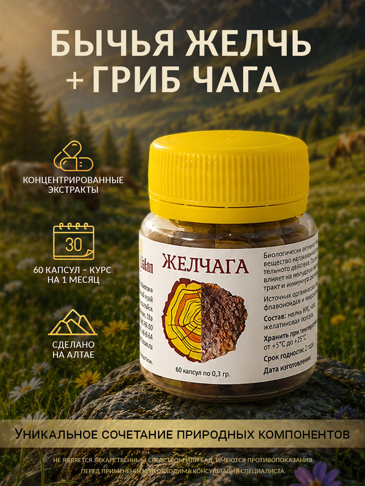 Бычья желчь и гриб Чага, добавка пищевая, 60 капсул