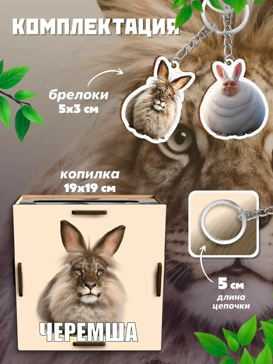 Подарочный бокс Мем Черемша — фото 1