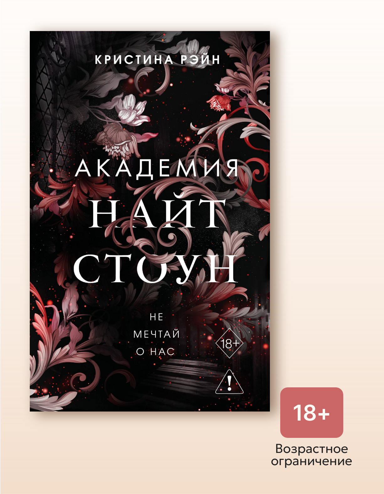 Книга "Академия Найтстоун. Книга 1. Не мечтай о нас", автор Рэйн К, издательство Freedom