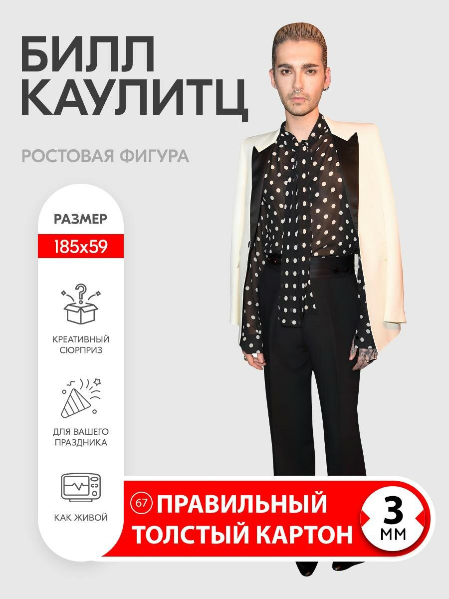 Аксессуар для фотосессий, Билл Каулитц (Tokio Hotel) 2, ростовая фигура