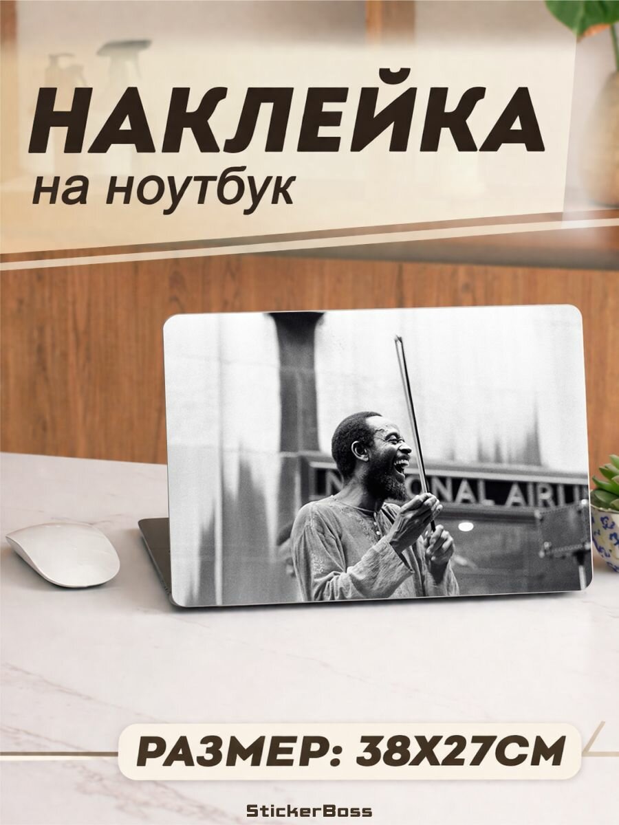 Наклейка на ноутбук Музыкант 38х27 см