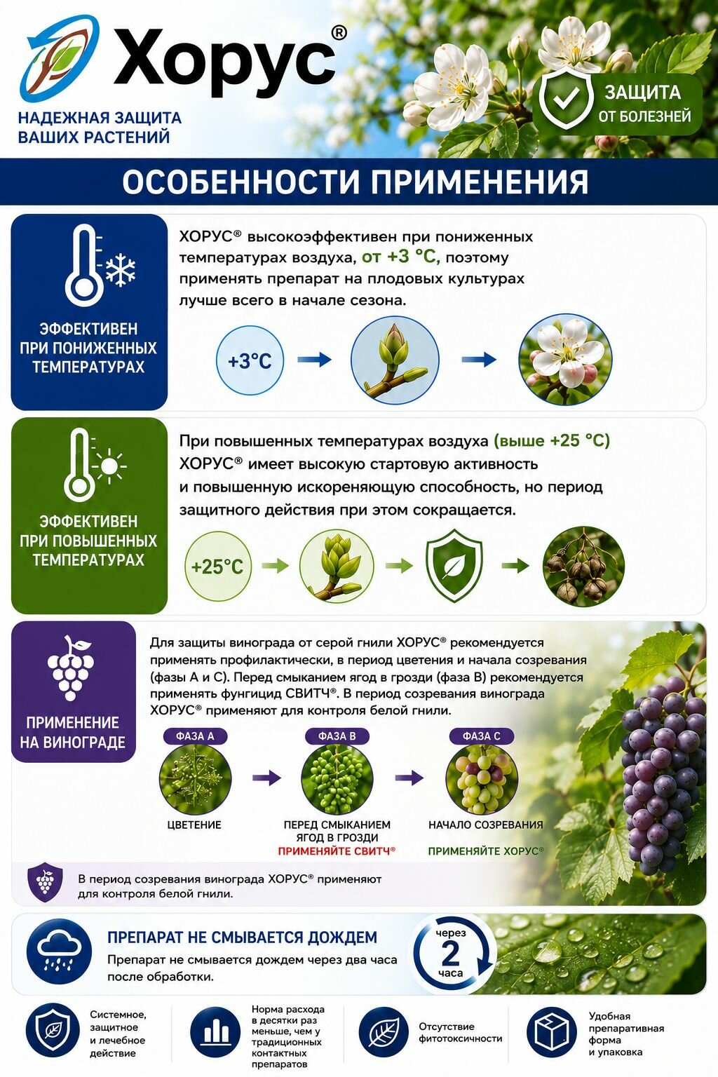 Фунгицид Хорус — фото 1