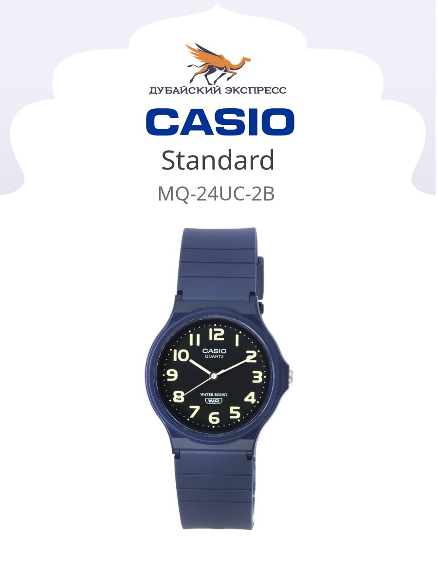  CASIO