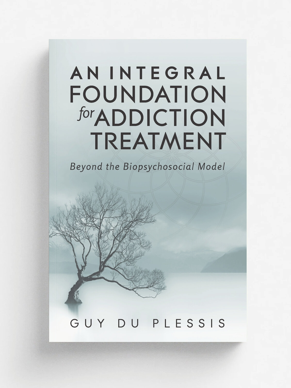 An Integral Foundation for Addiction Treatment. Beyond the Biopsychosocial Model