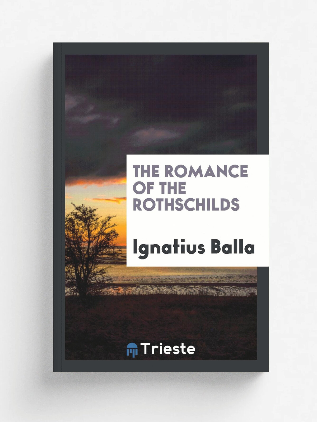 The Romance of the Rothschilds