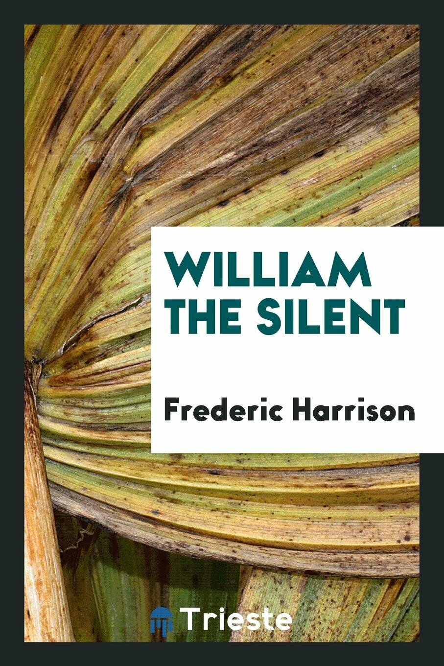 William the Silent — фото 1