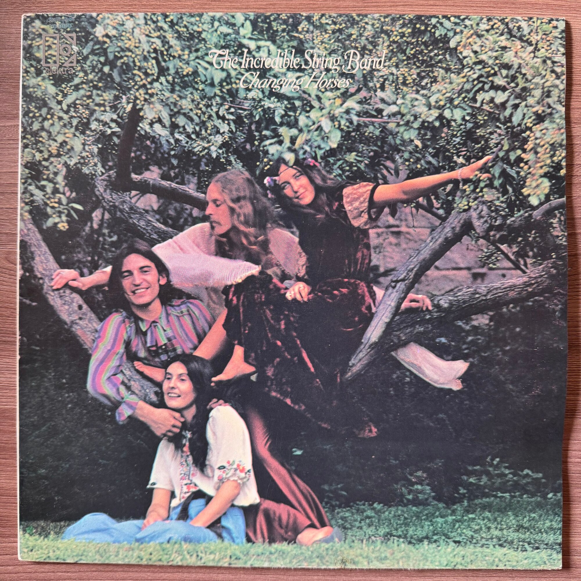Виниловая пластинка The Incredible String Band Changing Horses (Англия)