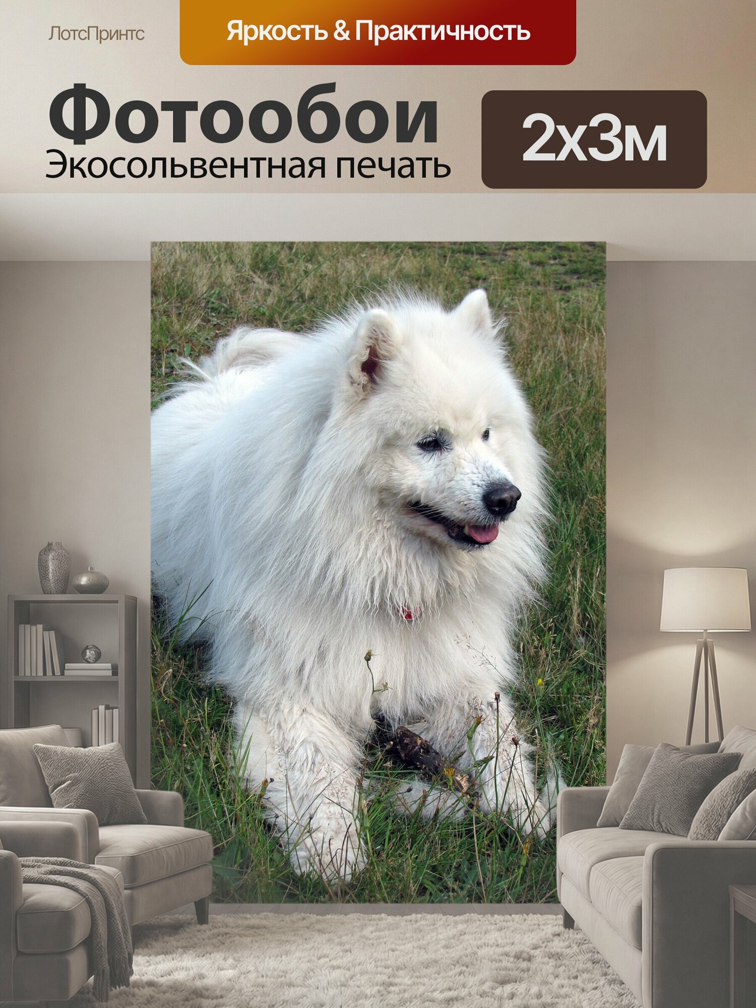 Фотообои "Самоедская лайка, собака, собачий" 200x300 см. экосольвентная печать