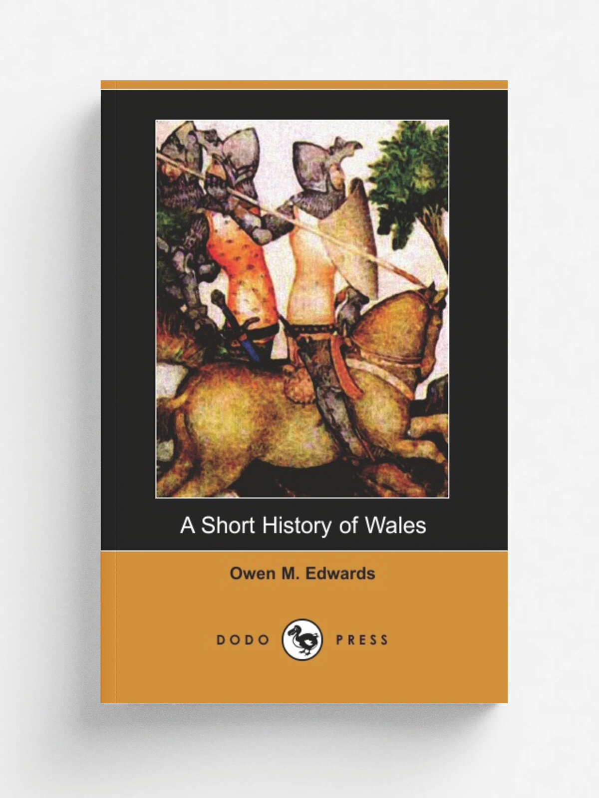 A Short History of Wales (Dodo Press)