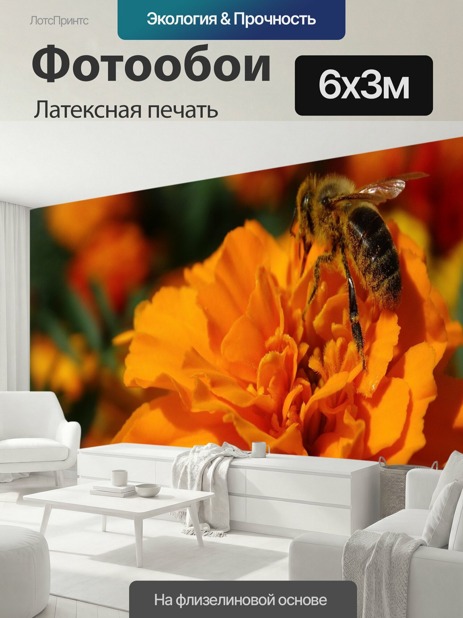 Фотообои моющиеся ударопрочные "Бархатцы, цветок, цвести" 600x300 см. латексная печать