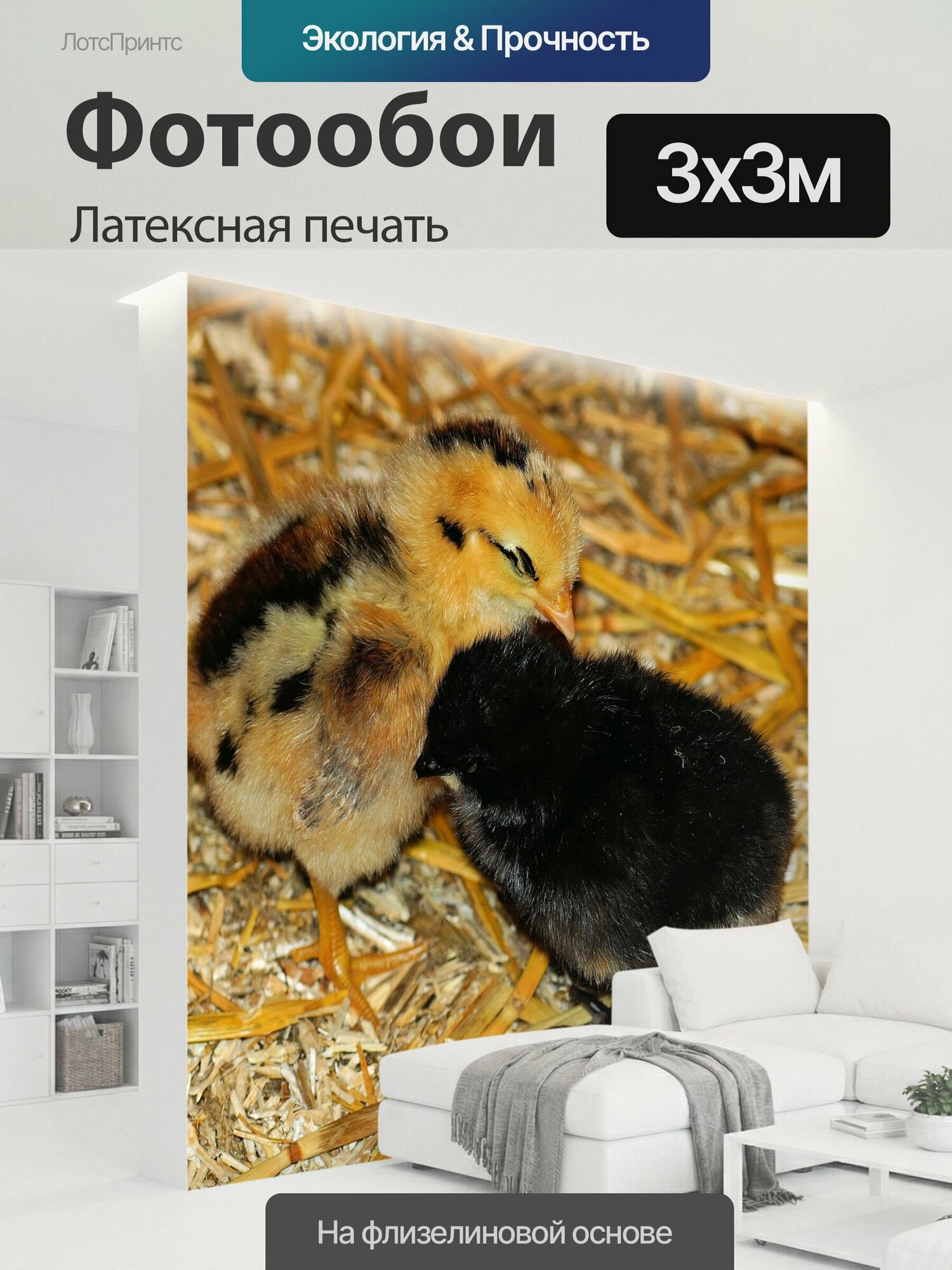 Фотообои моющиеся ударопрочные "Курица, цыпленок, пушистый" 300x300 см. латексная печать