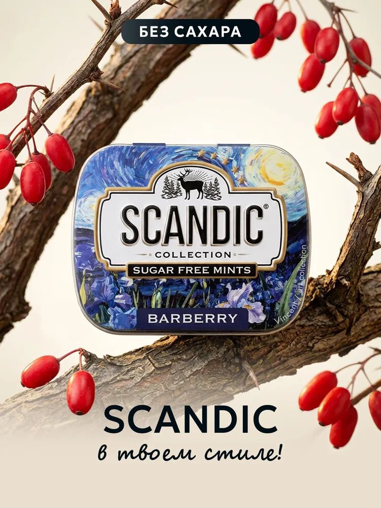 Конфеты без сахара Scandic collection освежающие сладости набор 6 шт со вкусом барбарис