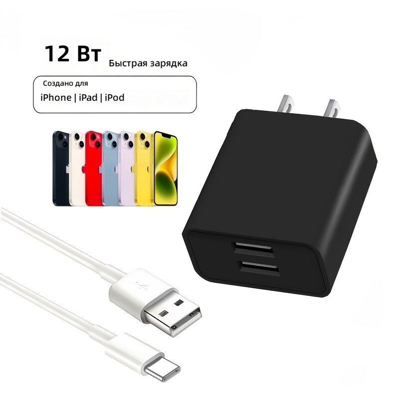 Зарядное устройство 12W с двумя портами USB и кабелем Type-C 1 м, портативное сетевое зарядное устройство для iPhone 15/14/13, iPad Pro, AirPods, черный, 1 шт.