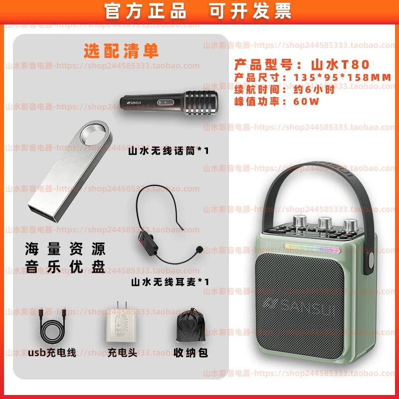 Sansui T80 портативный беспроводной динамик с USB-накопителем, зарядным устройством, кабелем и сумкой — Зеленый 1