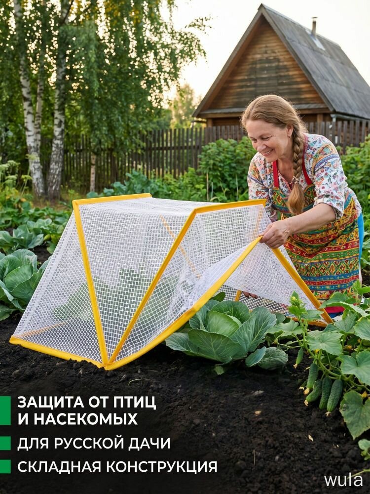 Парник, теплица домиком DPWL-A#899619472594_A#899619472594_49*38*22-yyfr 0.49х0.38х0.22м, ABS пластик