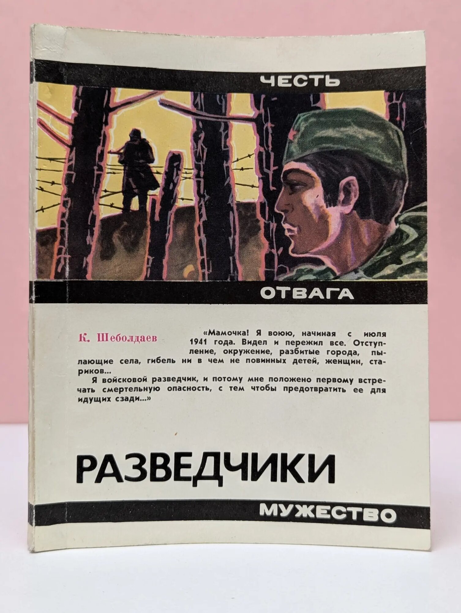 Честь. Отвага. Мужество. Разведчики Шеболдаев Кир Дмитриевич 1978