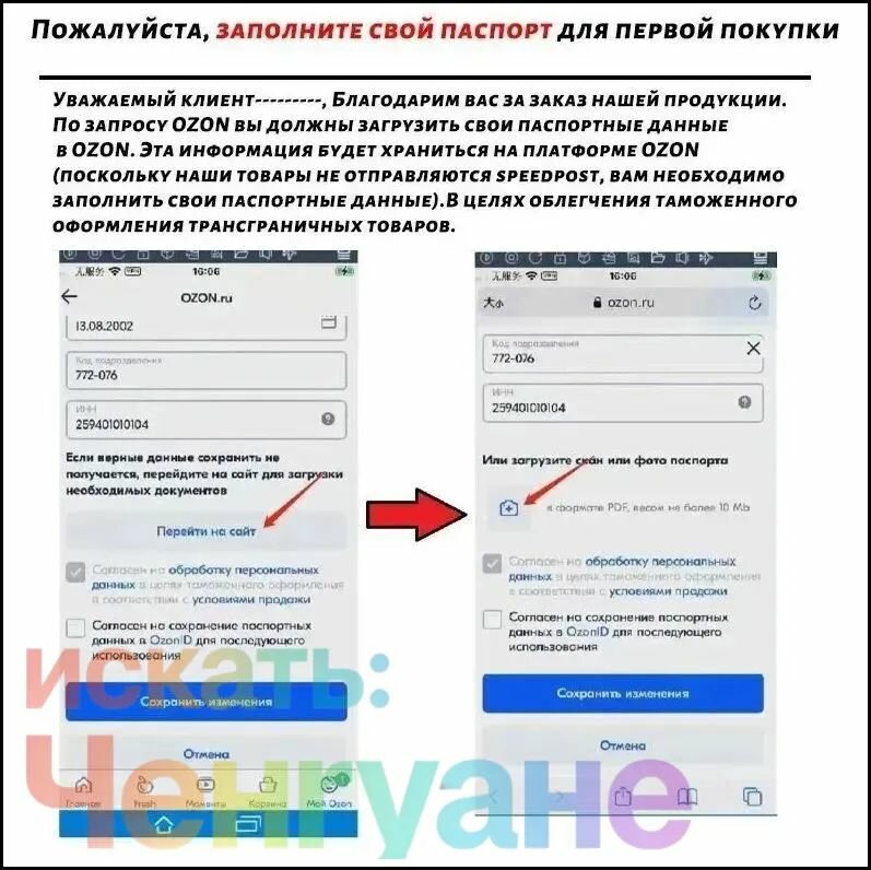 Экспресс-тест для животных быстрый — фото 1