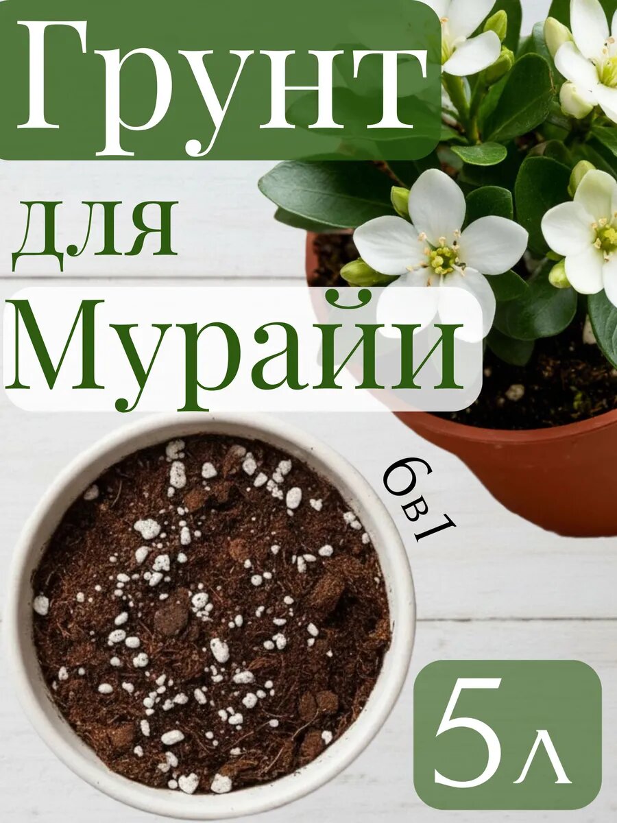 Готовый грунт для Мурайи 5 литров