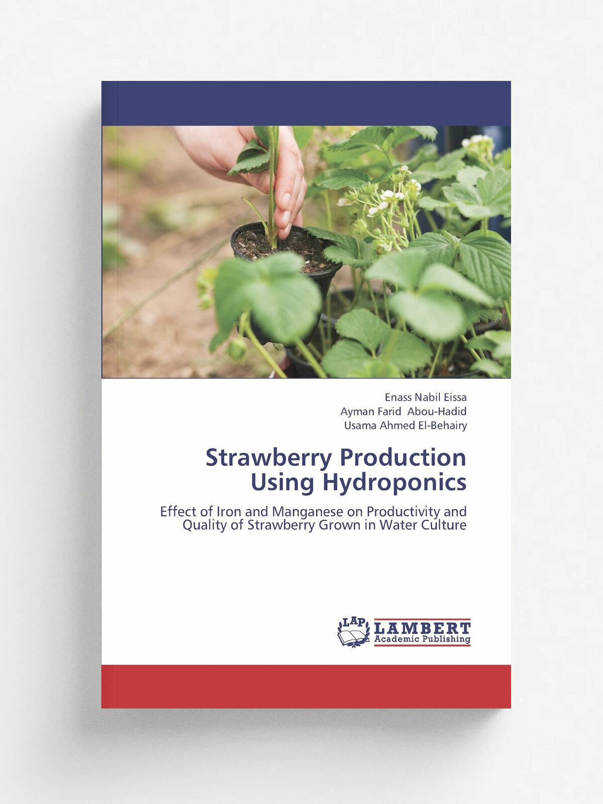 Strawberry Production Using Hydroponics