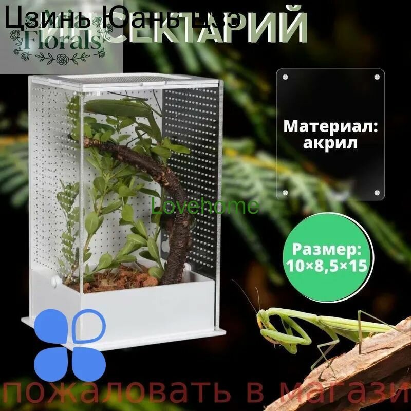 Инсектарий акриловый, садок для насекомых, 10х8,5ч15см