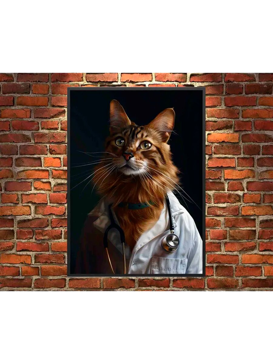 Сомалийский кошачий доктор 2, Плакат 30x42см