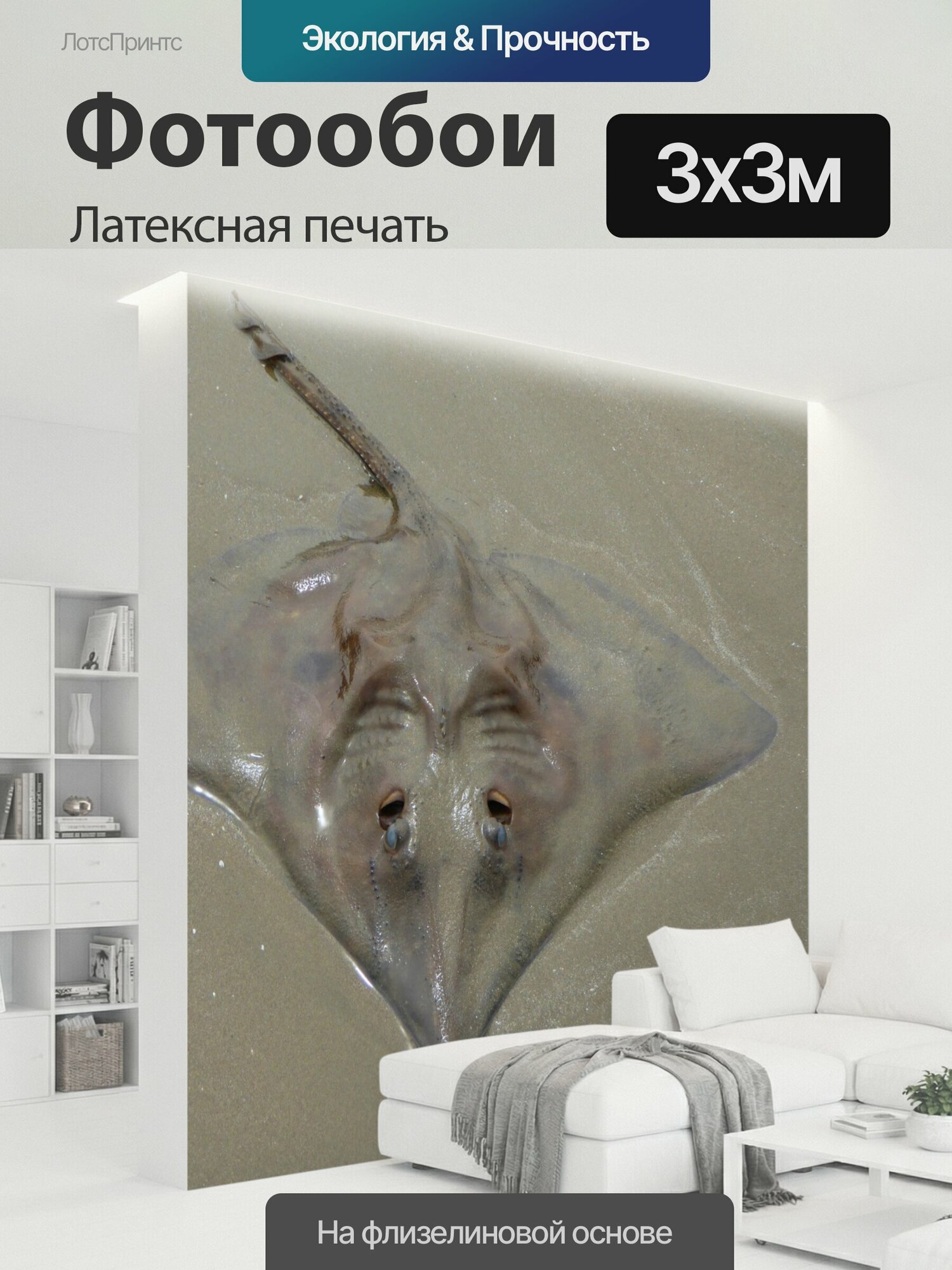 Фотообои моющиеся ударопрочные "Stingray в песок близком расстоянии от ската на песчаном берегу во время отлива. Маленький парень был просто." 300x300 см. латексная печать