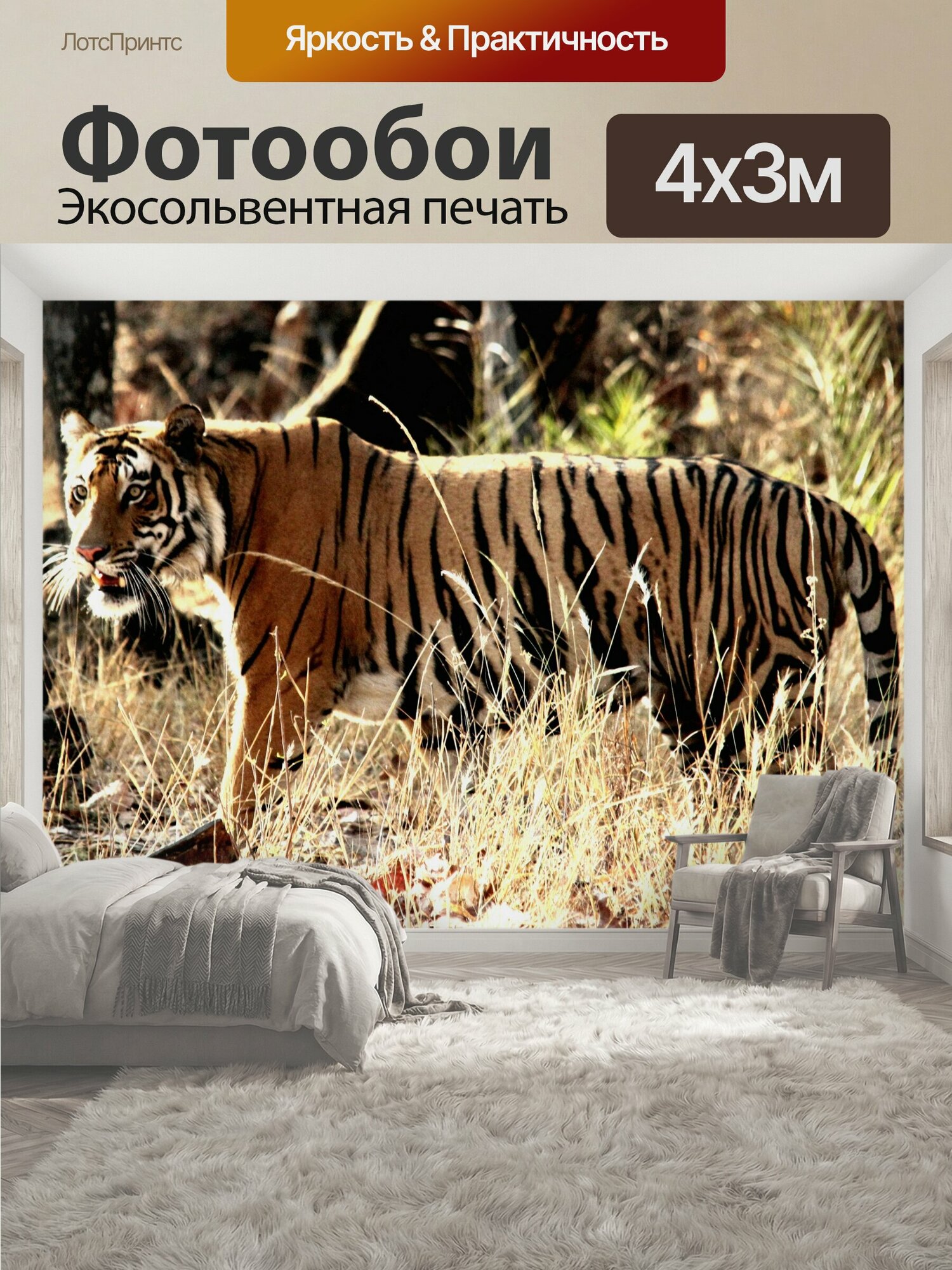 Фотообои "Тигр Мужской тигр охота Bandhavgarh Индии Тигр охота Индия Bandhavgarh" 400x300 см. экосольвентная печать
