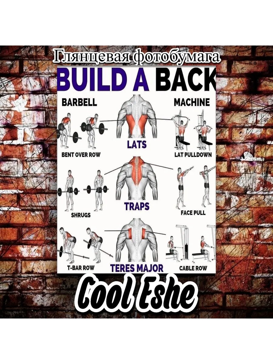 Постер "Раскачка спи ны, build a back, белый фон" А2