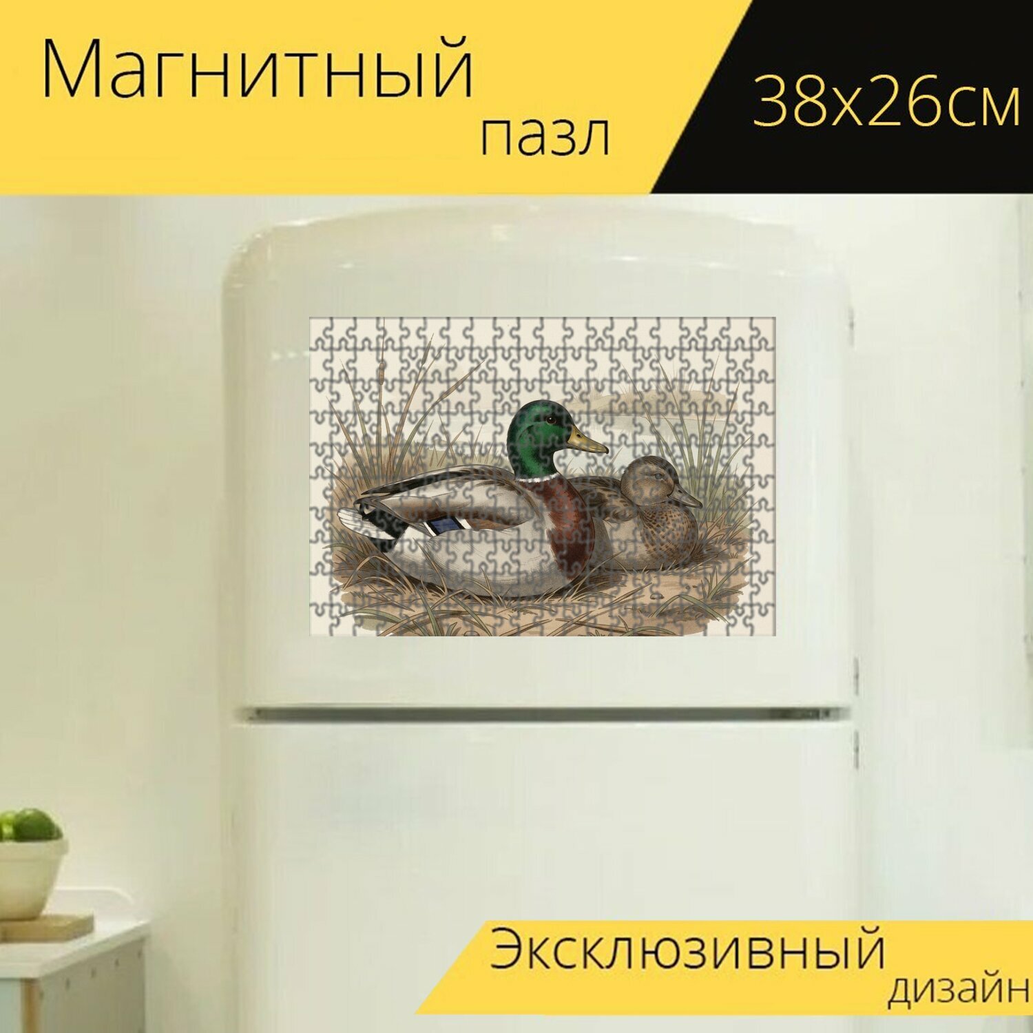 Магнитный пазл "Пара уток у берега. Селезень и самка возле тихого водоема среди камышей и травы. Винтажная орнитологическая иллюстрация в бежевых." для интерьера, 38х26 см.