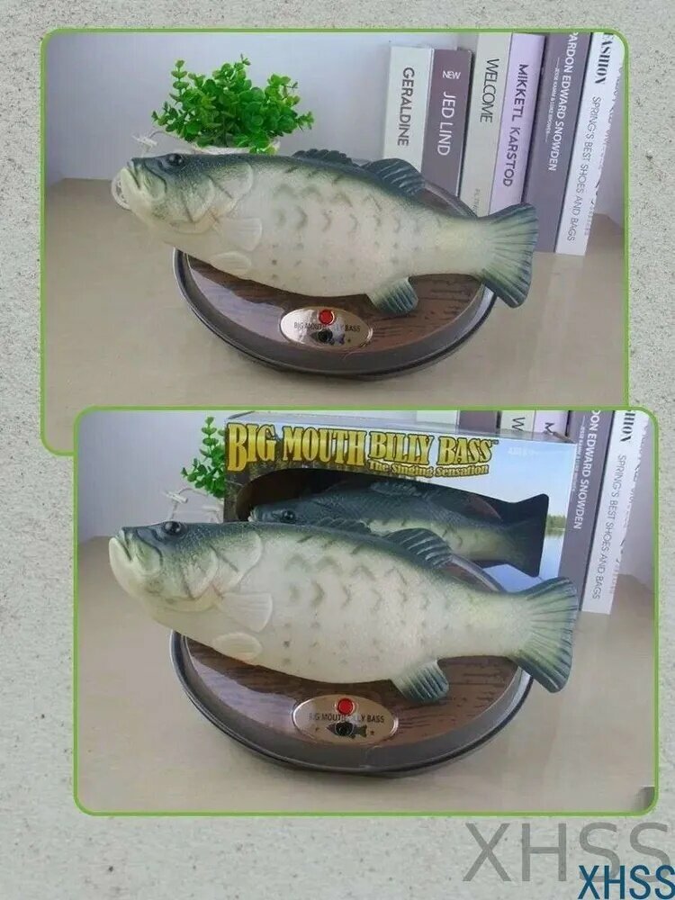 Поющая рыба — фото 1