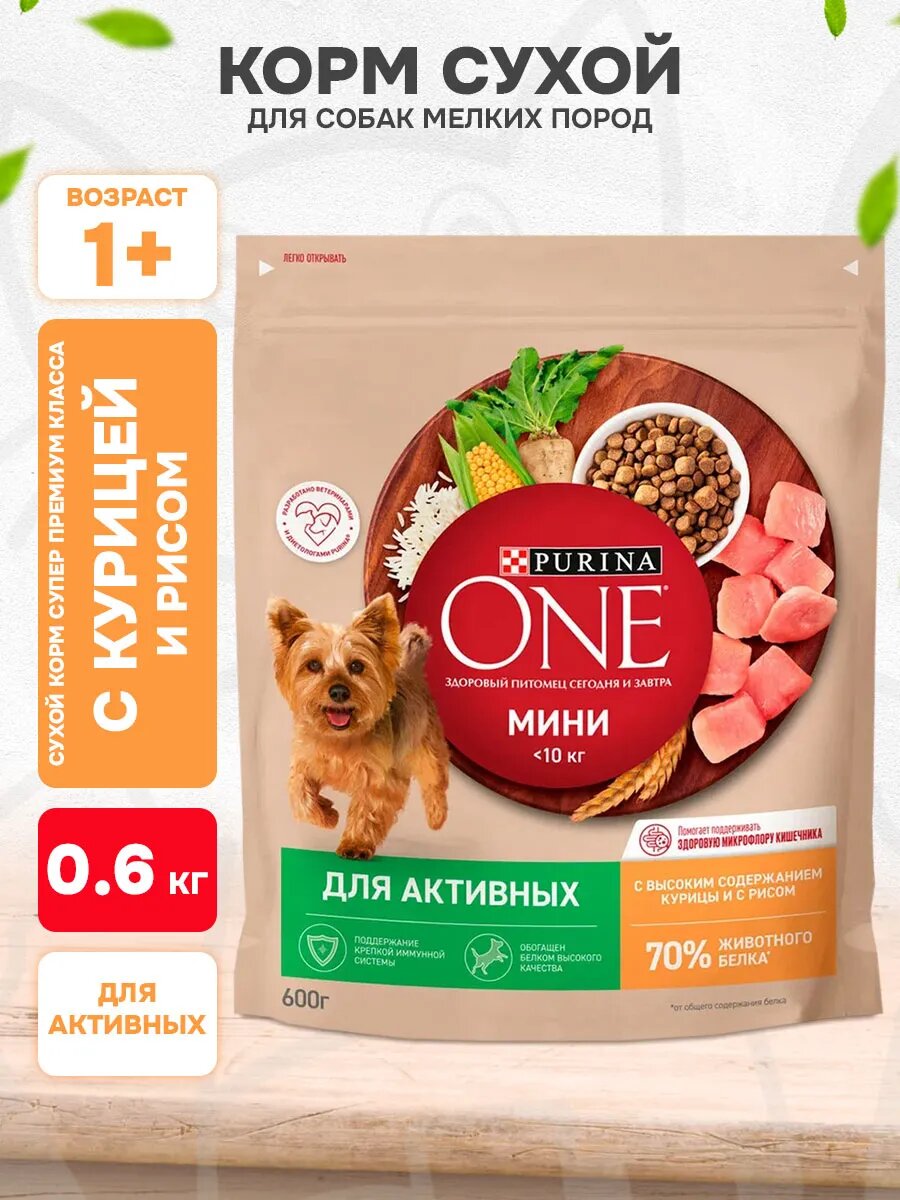 Корм сухой Purina One Мини для взрослых собак мелких и карликовых пород при активном образе жизни, курица и рис, 600 г