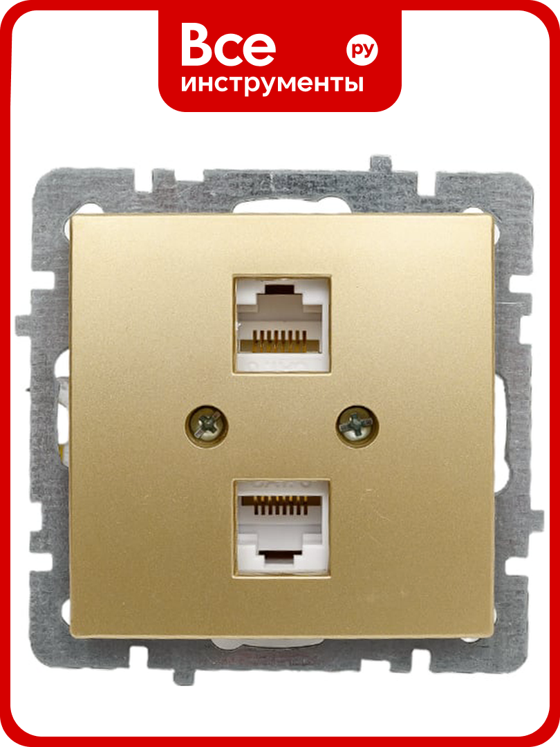 Механизм 2-местной компьютерной розетки Nilson СУ, RJ45 САТ6, TOURAN-ALEGRA-THOR, metallic, золото