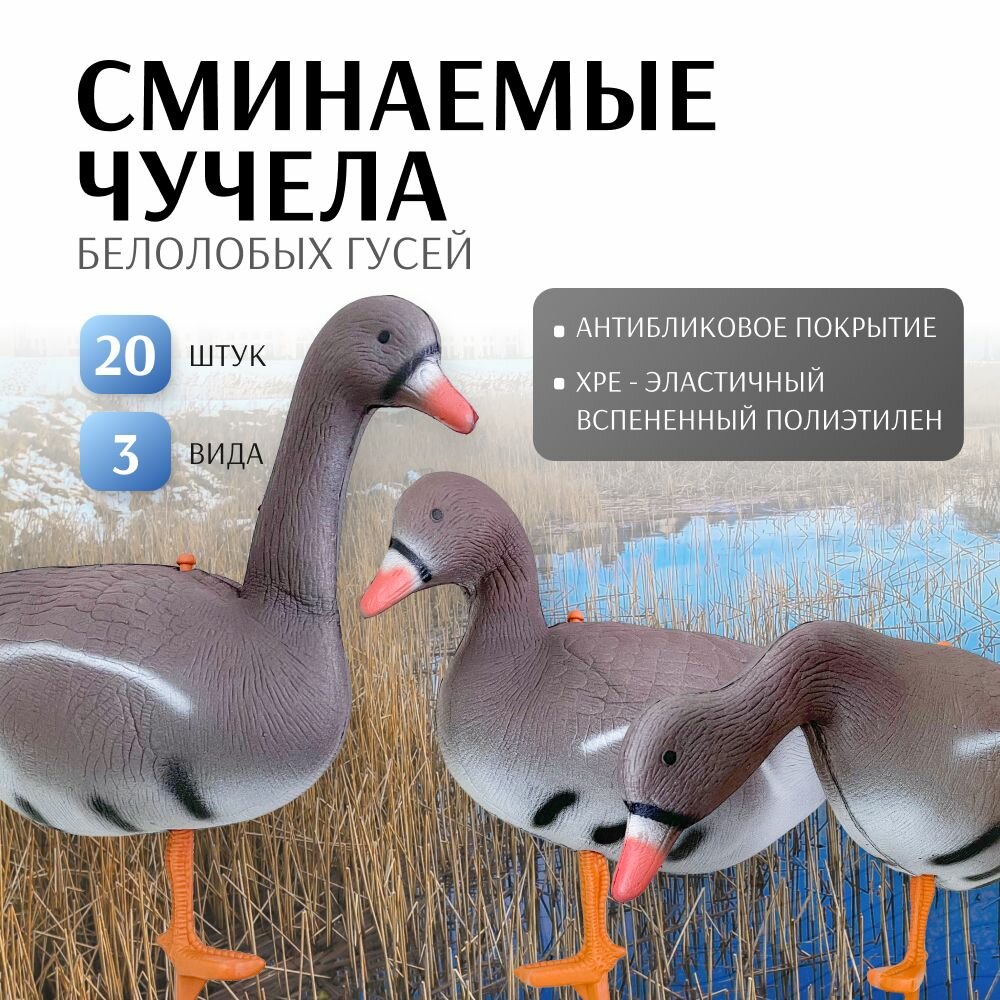 Чучела Гусей Белолобый, 20 шт, чучела гусей для охоты, на ножке, сминаемые, XPE, Белолобый гусь. Гуменник